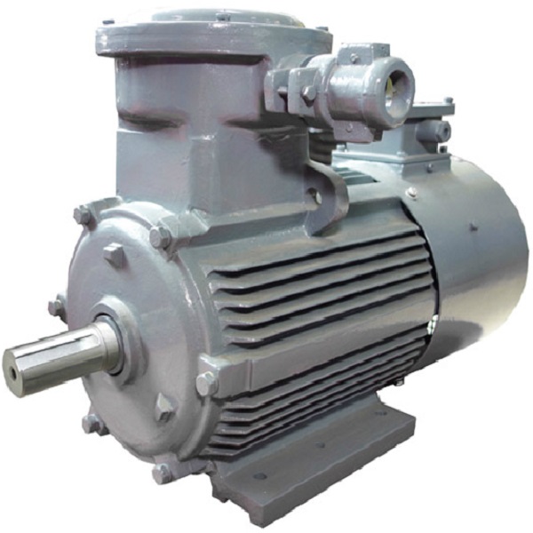 EXPLOSIONPROOF THREE PHASE ASYNCHRONOUS MOTORS WITH FREQUENCY CONTROLLED ROTATION SPEED OF THE ...