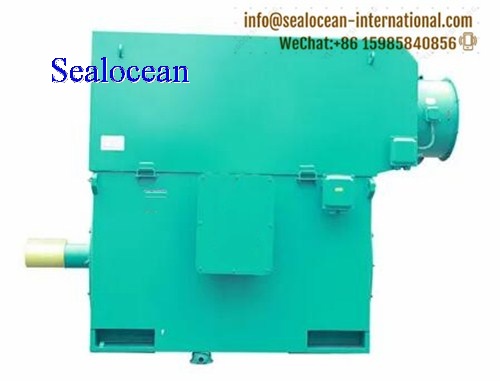 CHINA FACTORY HIGH-VOLTAGE VARIABLE FREQUENCY ELECTRIC MOTORS YPT, 6KV ...