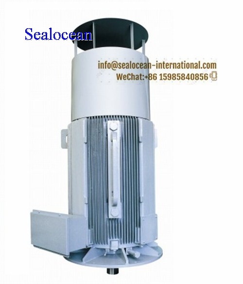 CHINA FACTORY EXPLOSION-PROOF HIGH-VOLTAGE ELECTRIC MOTOR VERTICAL YBL ...