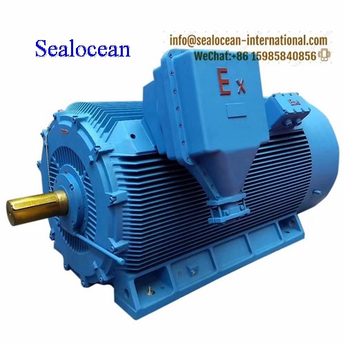 CHINA FACTORY EXPLOSION-PROOF HIGH-VOLTAGE ELECTRIC MOTOR WITH ...