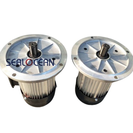 CHINA FACTORY YSE SOFT START ELECTRIC MOTORS, BRAKE MOTOR FOR CRANE ...