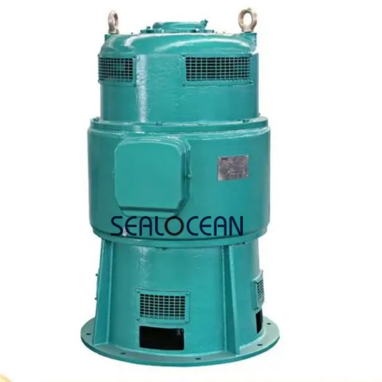 CHINA FACTORY VERTICAL HIGH VOLTAGE AND LOW VOLTAGE ELECTRIC MOTORS ...